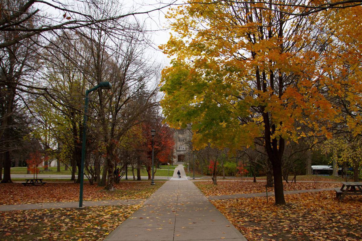 fall reading week uoft