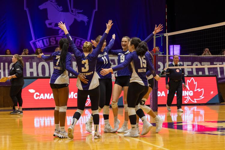 Why Mustangs volleyball is so dominant at Alumni Hall | Volleyball ...