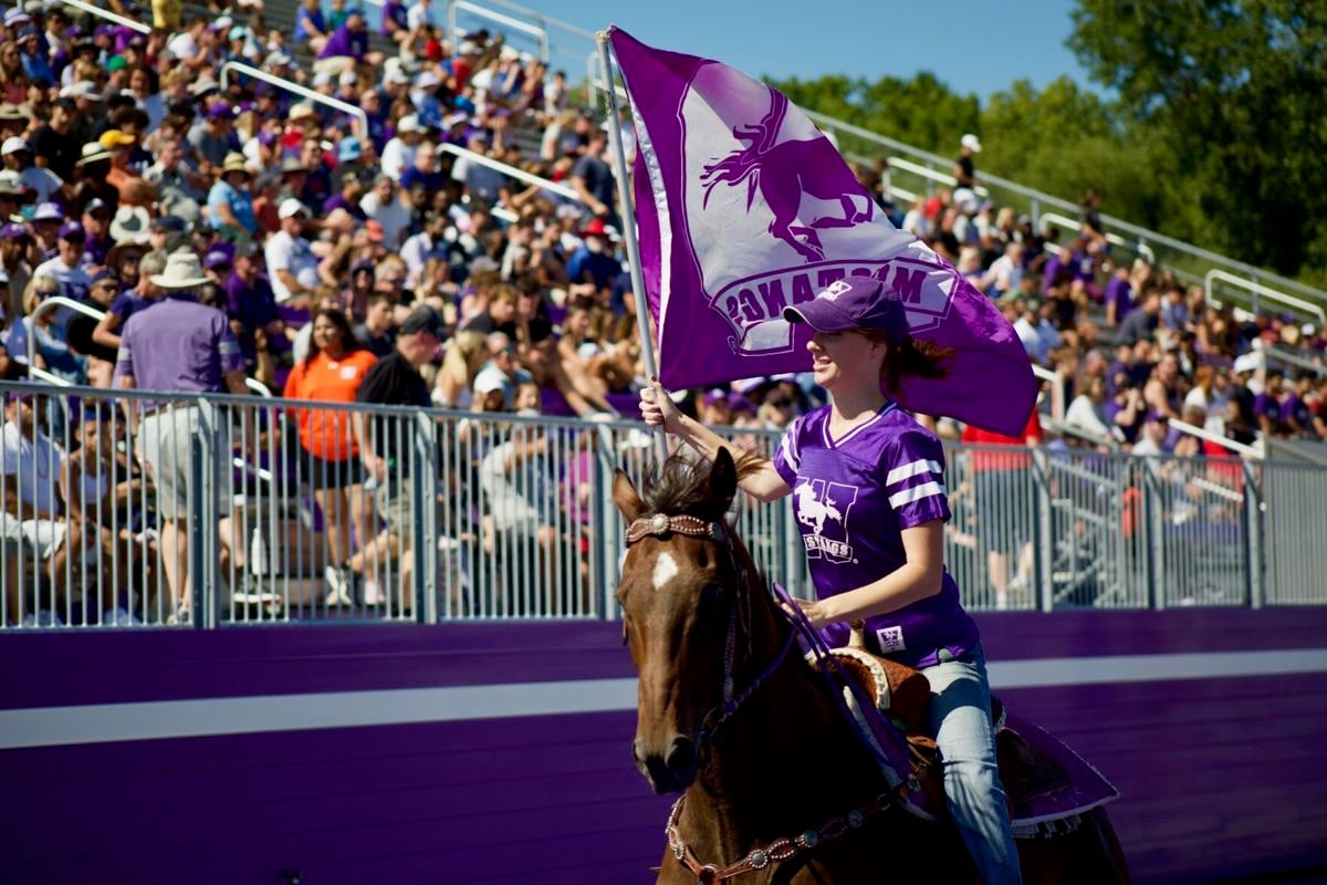 western mustangs