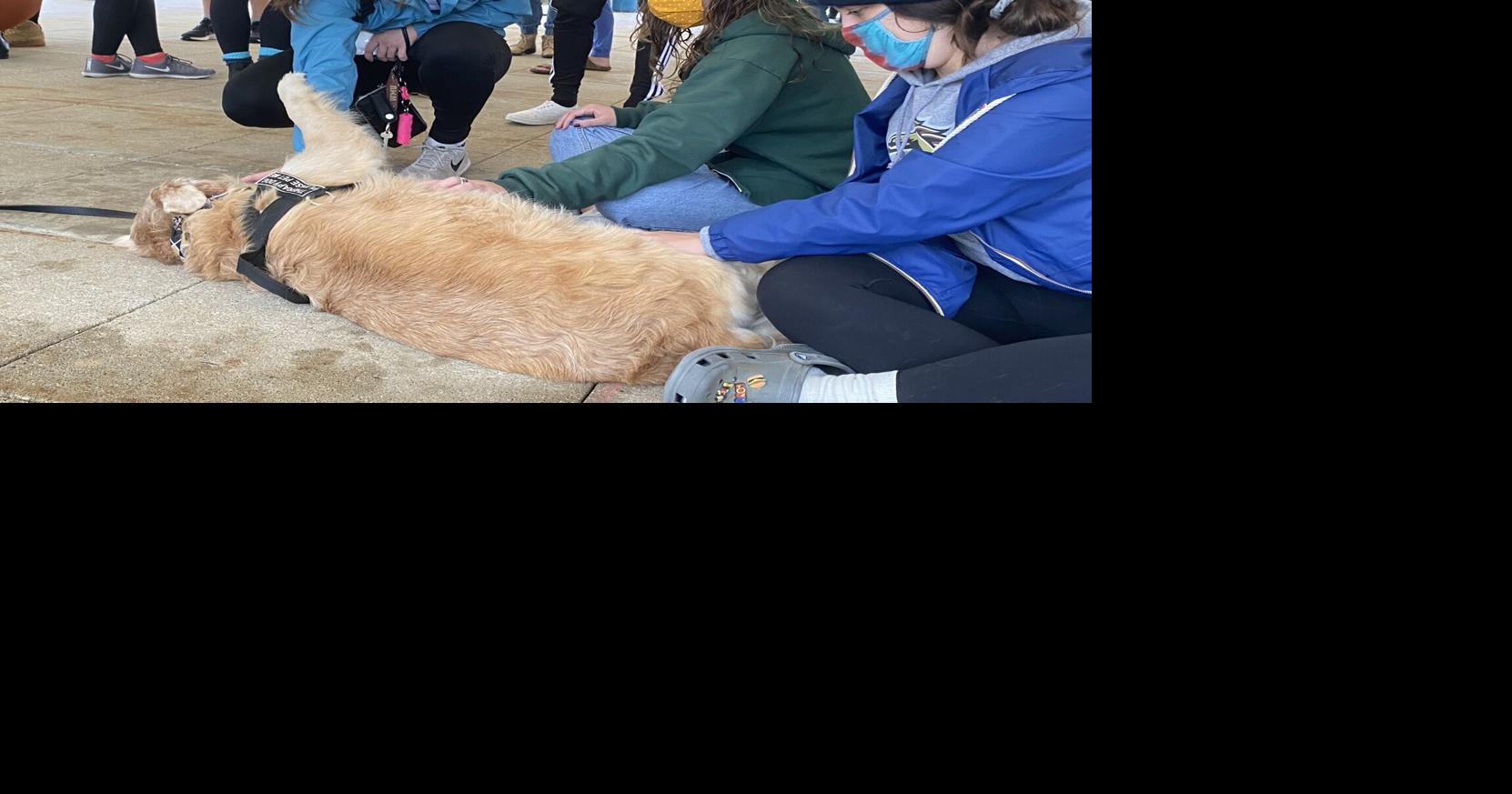 WMU raised awareness of mental health through Mental Health Week ...
