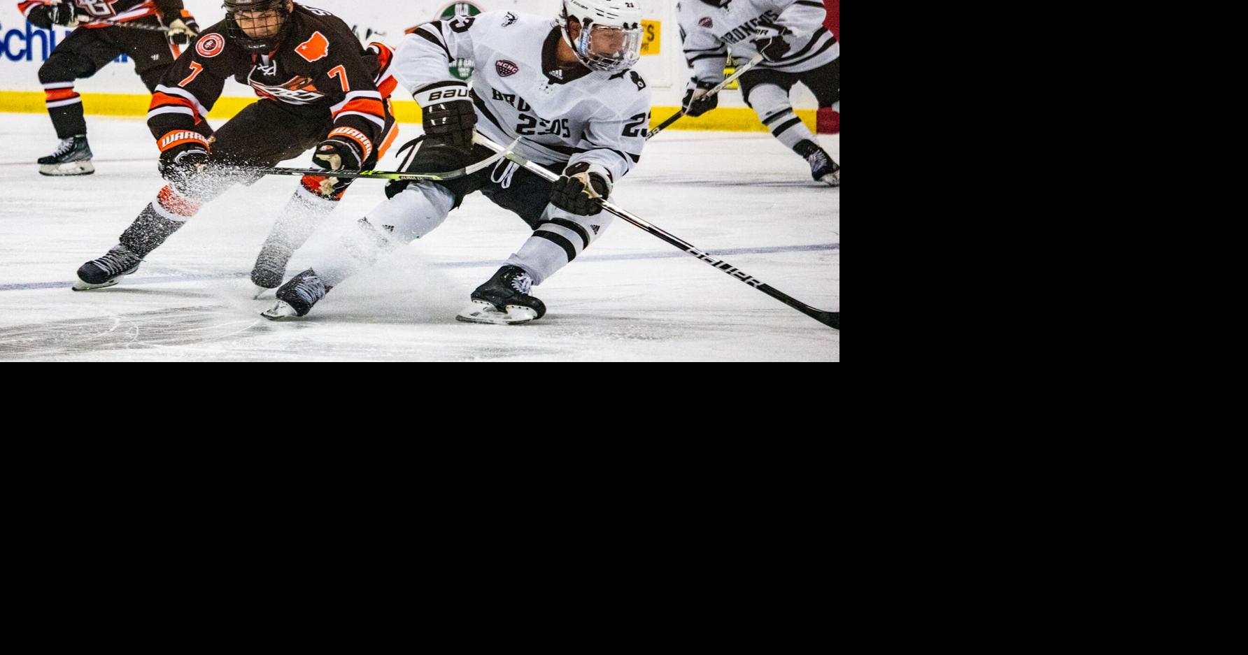 WMU hockey surges to 12th in USA Today/USA Hockey Magazine Poll ...