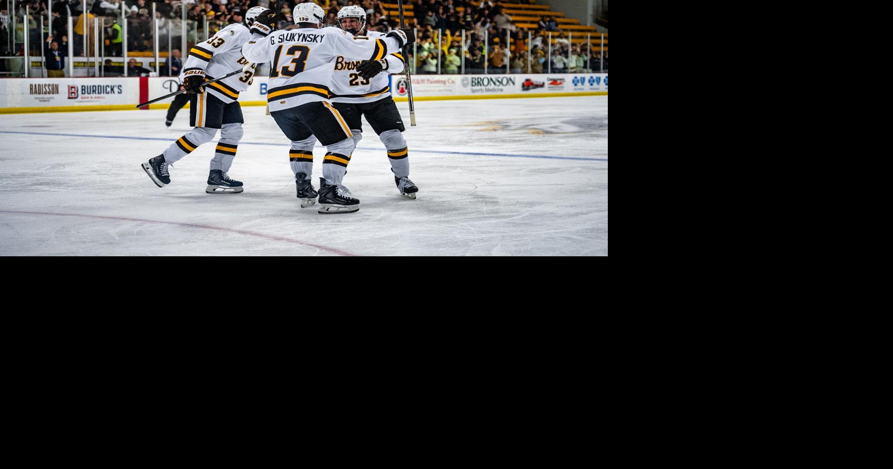 WMU Hockey Splits Conference Series | Sports | westernherald.com