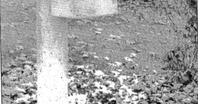 This Week in WH History: grants, programs and campus safety | Arts And ...