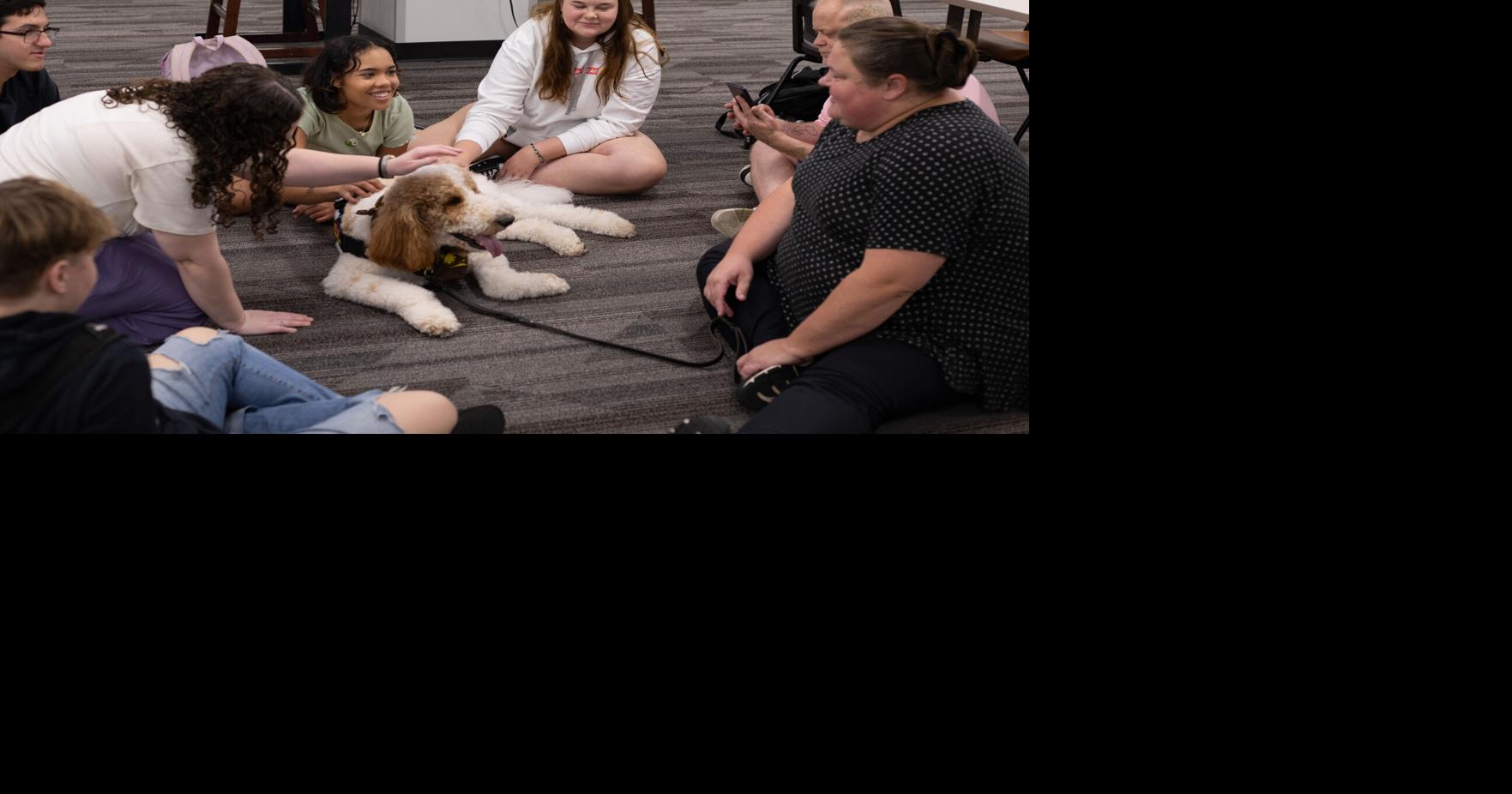 University Libraries offers therapy dog art break | News ...