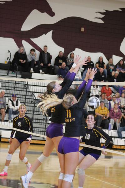 OHSAA VOLLEYBALL: Avon advances with win over Lakewood | Sports ...