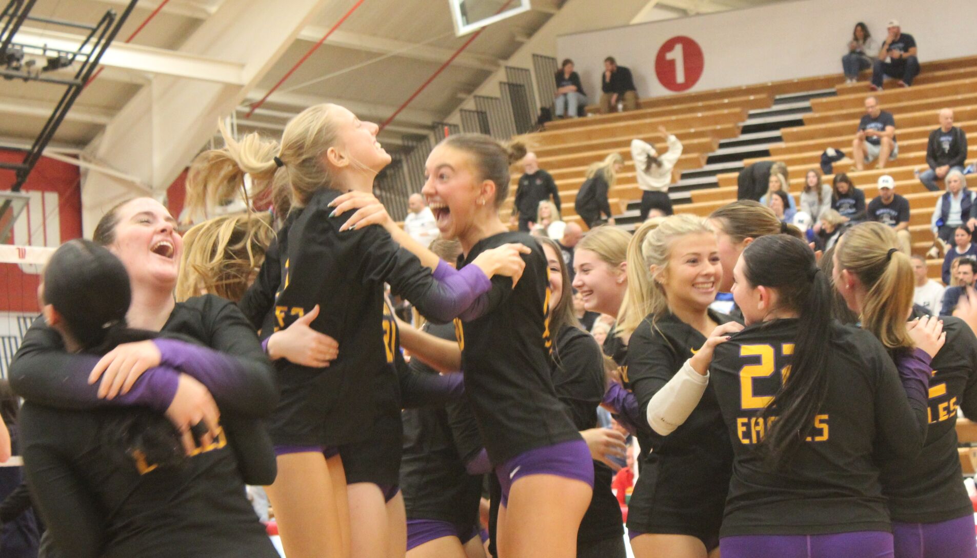 OHSAA VOLLEYBALL: Eagle volleyball gets payback in winning title | Sports | westlifenews.com