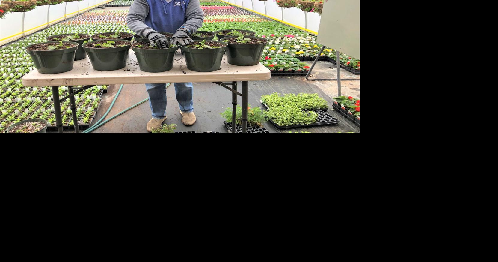 Avon's Fitch Farm | News | westlifenews.com