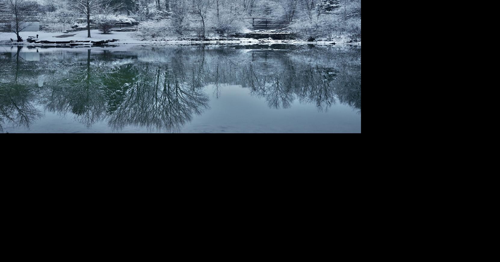Snow Day in Chesterfield's Central Park | Multimedia | westnewsmagazine.com