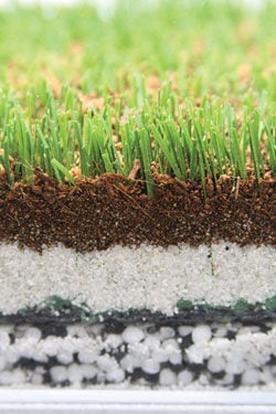 Resident questions use of Corkonut infill in Rockwood’s artificial turf ...