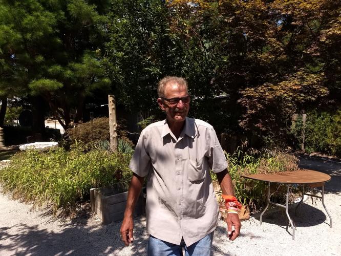 Zick’s Great Outdoors owner says, ‘It’s time to talk about trees ...