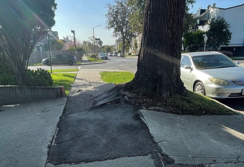 Not Only Is LA Dirty, Its Crumbling Sidewalks Reflect a City in Crisis ...