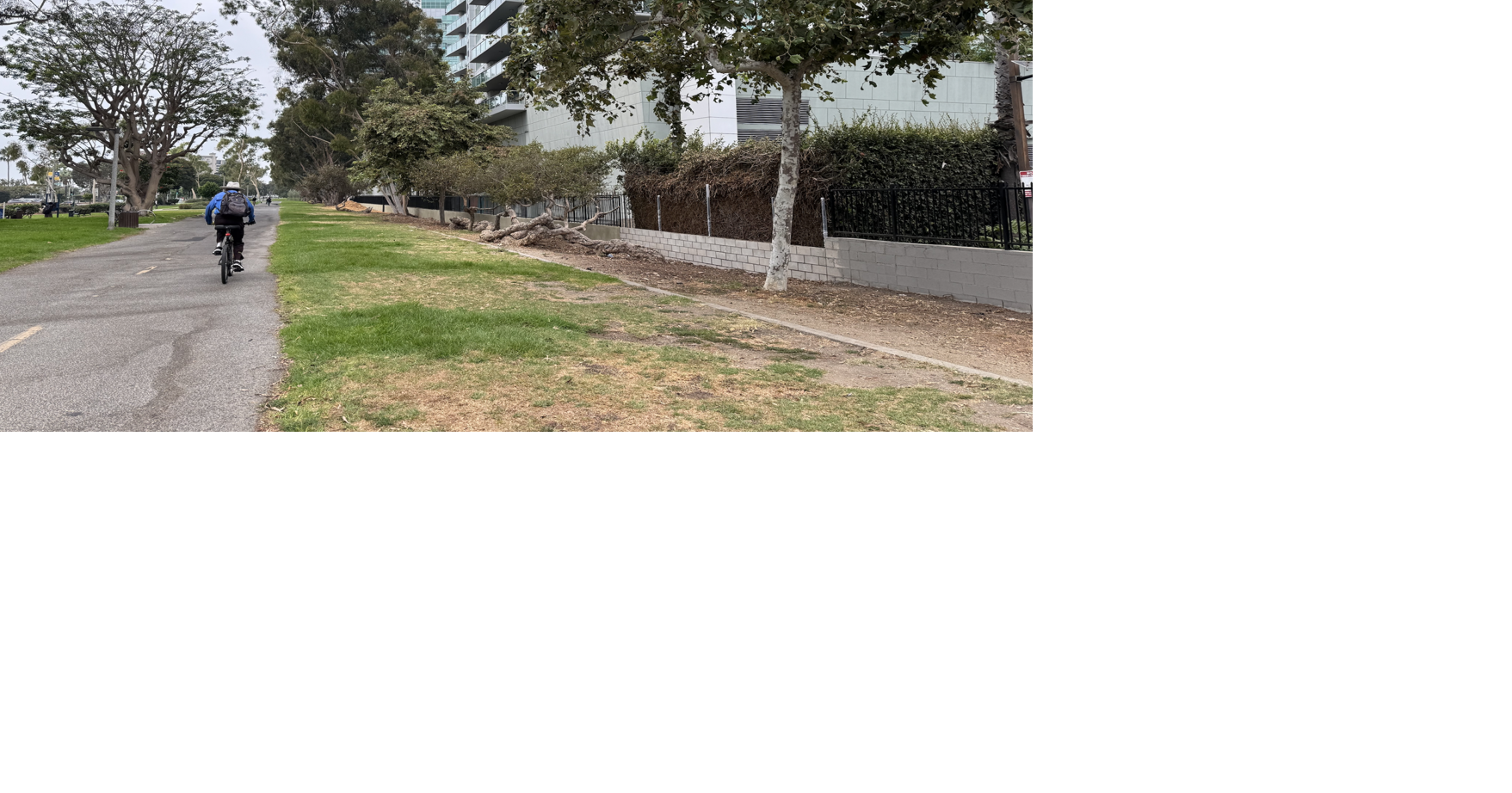 Ralph's Wall Removal One Step Closer After Committee Vote | News ...