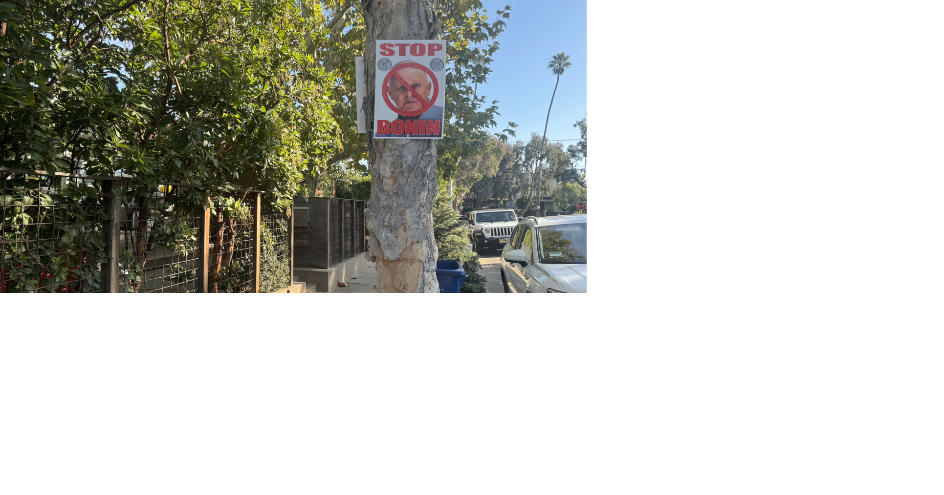 Mike Bonin Faces Opposition at Venice Fundraiser in this Week's ...