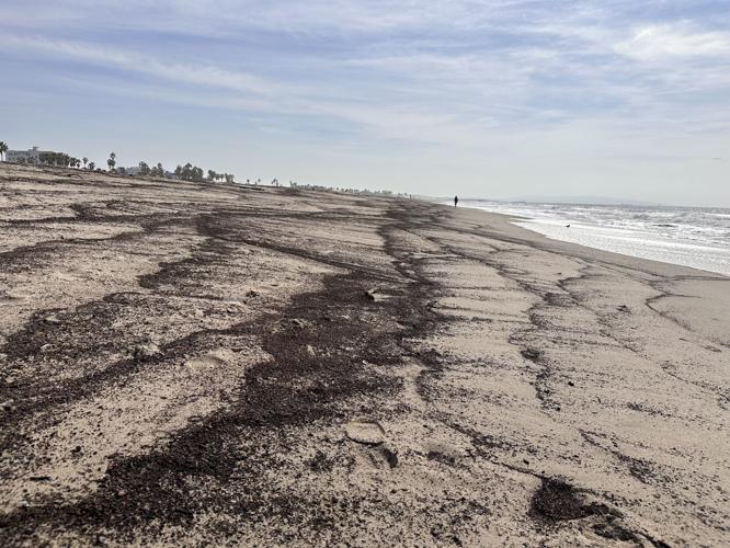 Toxic Tide: Oceanfront Cleanup Efforts Suspended as Fire Debris and ...