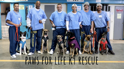 Dog Recuse Founder, COO Honored at Chargers Game For Prison Work | News ...