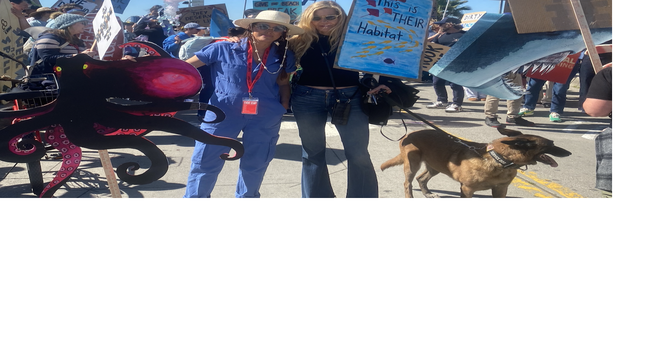 Hundreds Gather at March to Save the Sea Calling for Urgent Action to ...