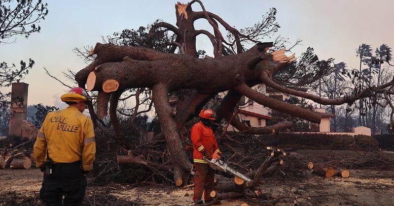 Order Prohibiting Removal of Fire Debris Issued by County Health ...