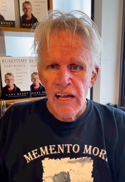 Detectives Probe Alleged Malibu Hit-Run Involving Actor Gary Busey ...