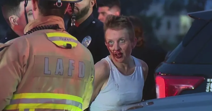 Homeless Woman Facing 14 Felony Counts After High-Speed Chase Avoids ...