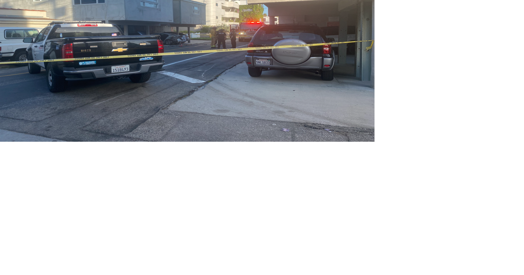 LAPD Chief Speaks to Committee About Budget Requests For Next Fiscal ...