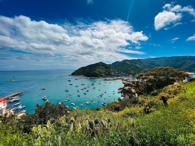 Exploring the Enchanting Island of Catalina: Art Deco Balls, Scenic ...