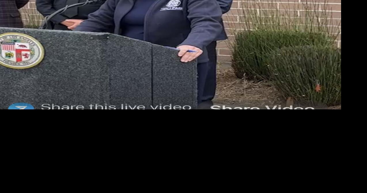 Update: Suspect Arrested in Venice Sexual Assault Cases | News ...