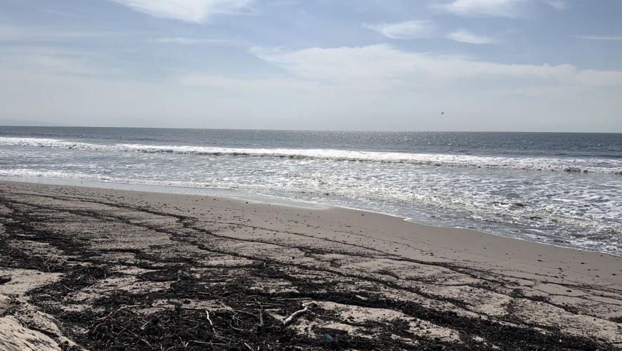 Toxic Tide: Oceanfront Cleanup Efforts Suspended as Fire Debris and ...