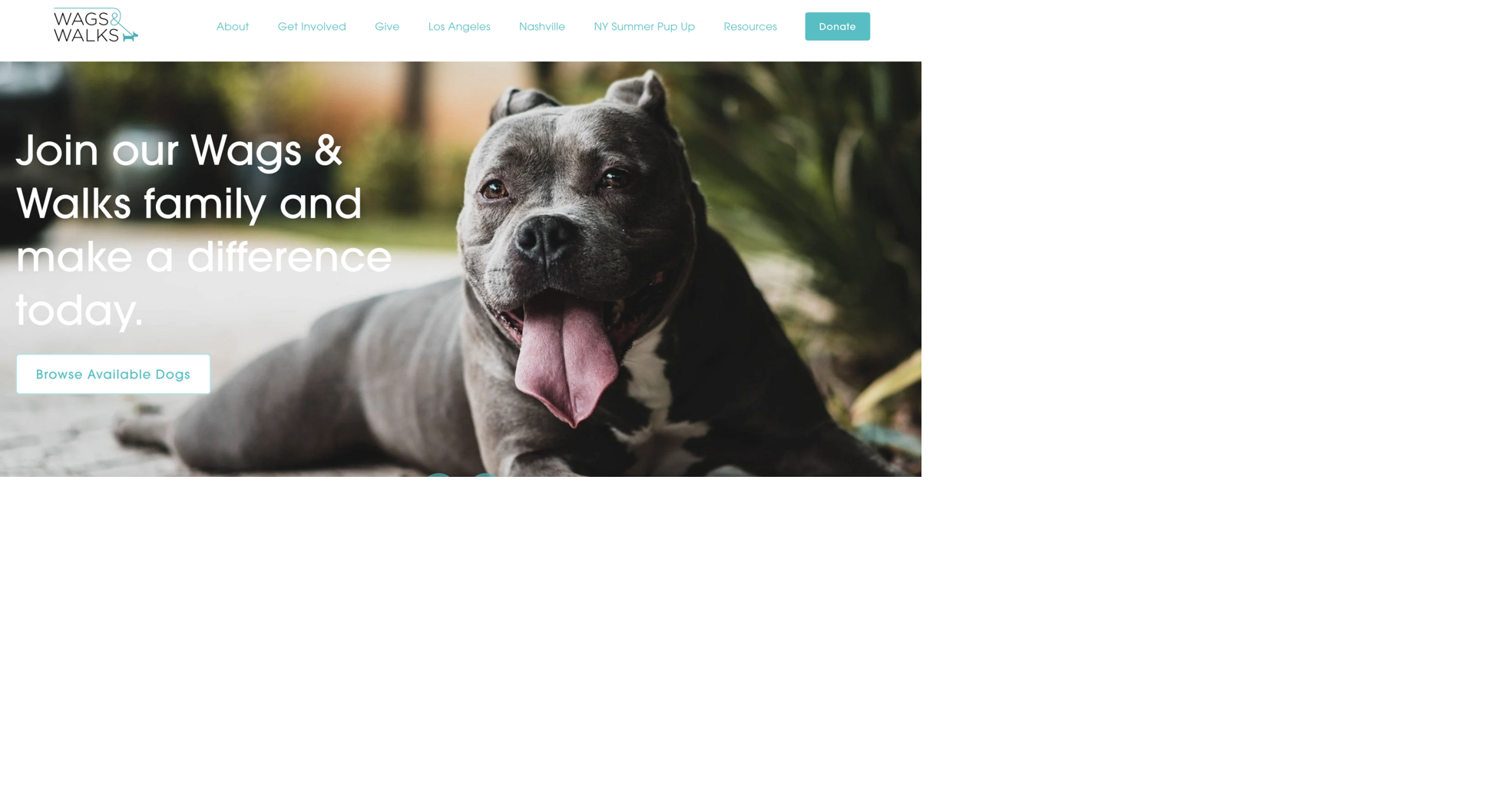 Pardee Properties’ ’20 for 20’ Spotlights Wags & Walks, a Rescue Saving ...