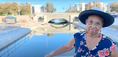 Reese Family Demands Name Be Removed from Controversial VCHC Project on ...