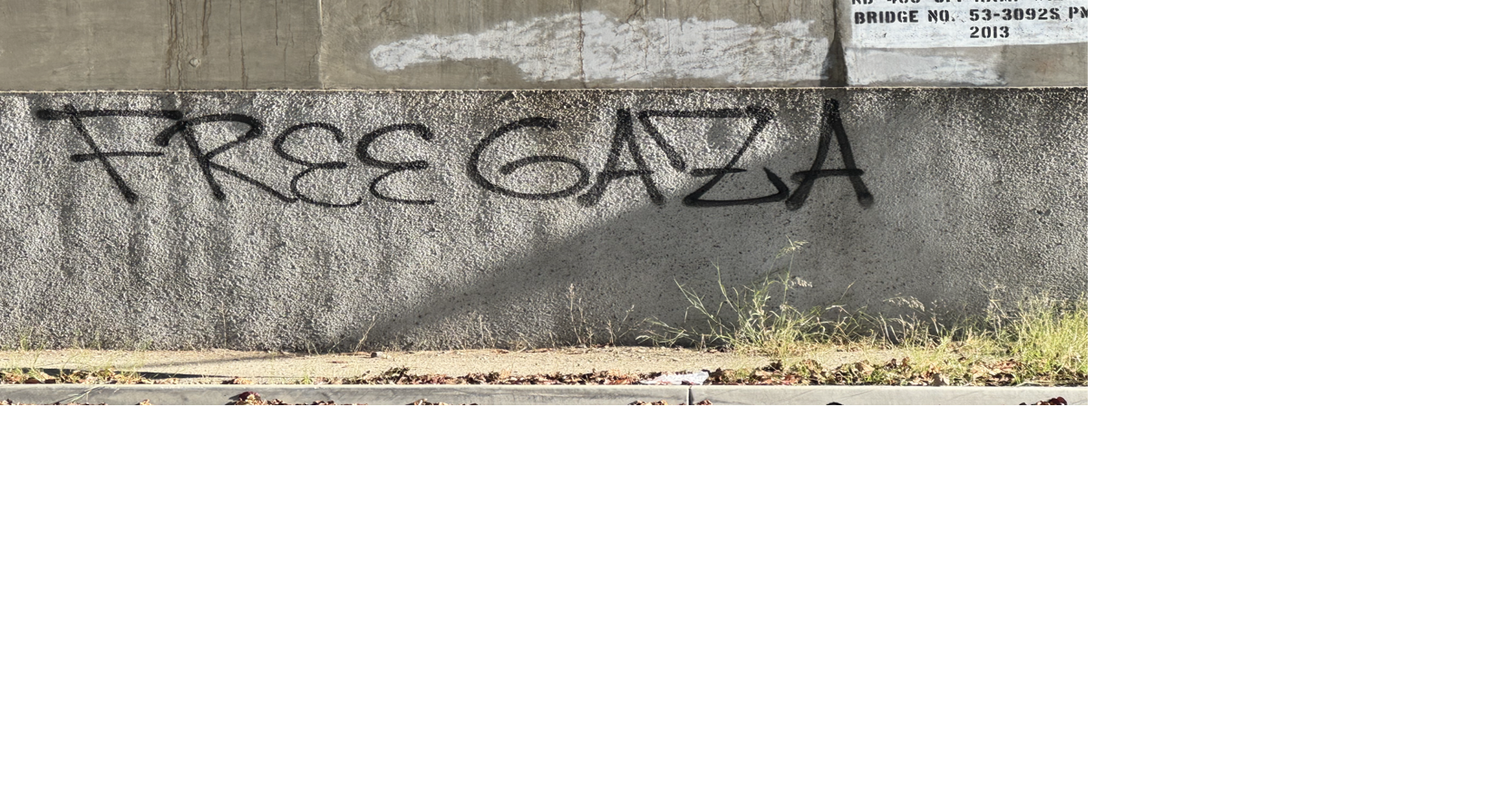 Pro-Palestine Protest Graffiti Remains on Westside, Stirring Community ...