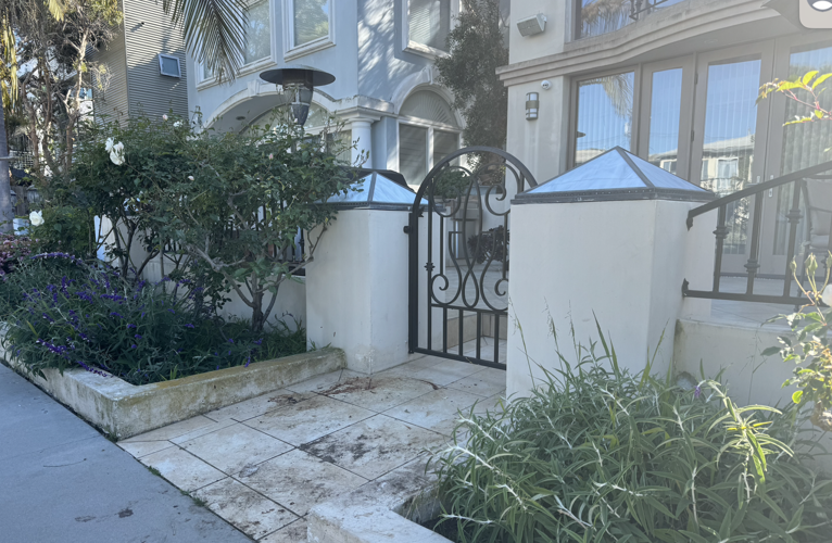 UPDATE:Venice Canals Attack Victim Dies After Being Declared Brain Dead ...