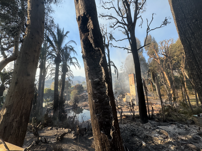 Fighting the Franklin Fire: Behind the Scenes of a Coordinated Effort ...