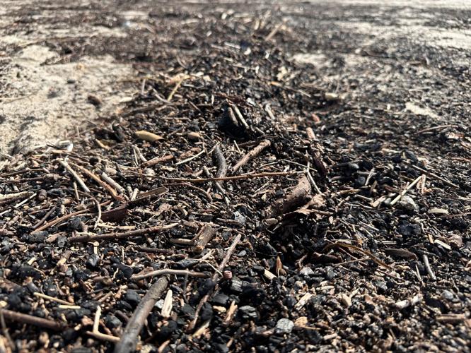 Toxic Tide: Oceanfront Cleanup Efforts Suspended as Fire Debris and ...