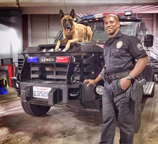 Meet the Hero Dogs of the LAPD K9 Division | News | westsidecurrent.com