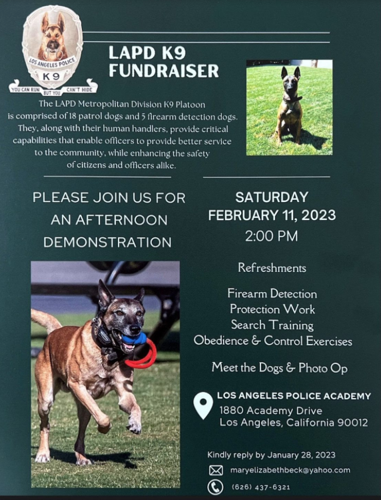 Meet the Hero Dogs of the LAPD K9 Division | News | westsidecurrent.com