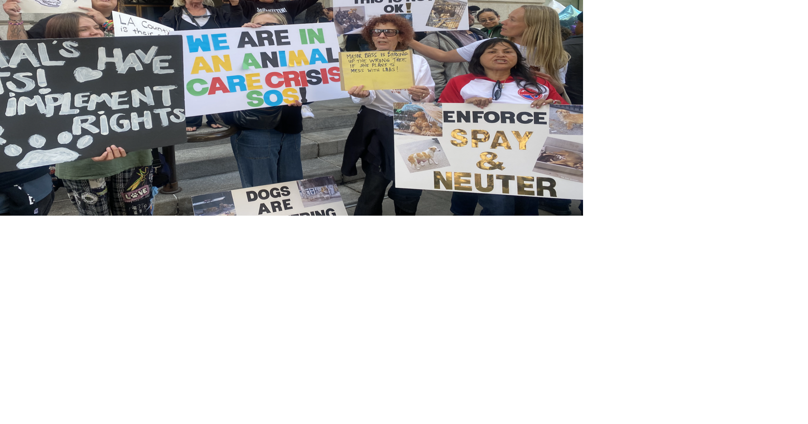 Bass Budget Plan Branded ‘Death Sentence’ for Animals as Hundreds Rally ...
