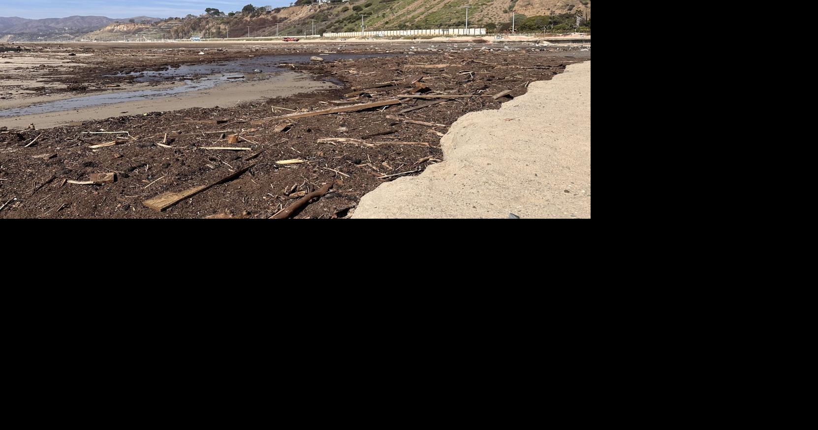 WRAC Urges City to Act as Toxic Fire Debris Threatens Public Safety on ...