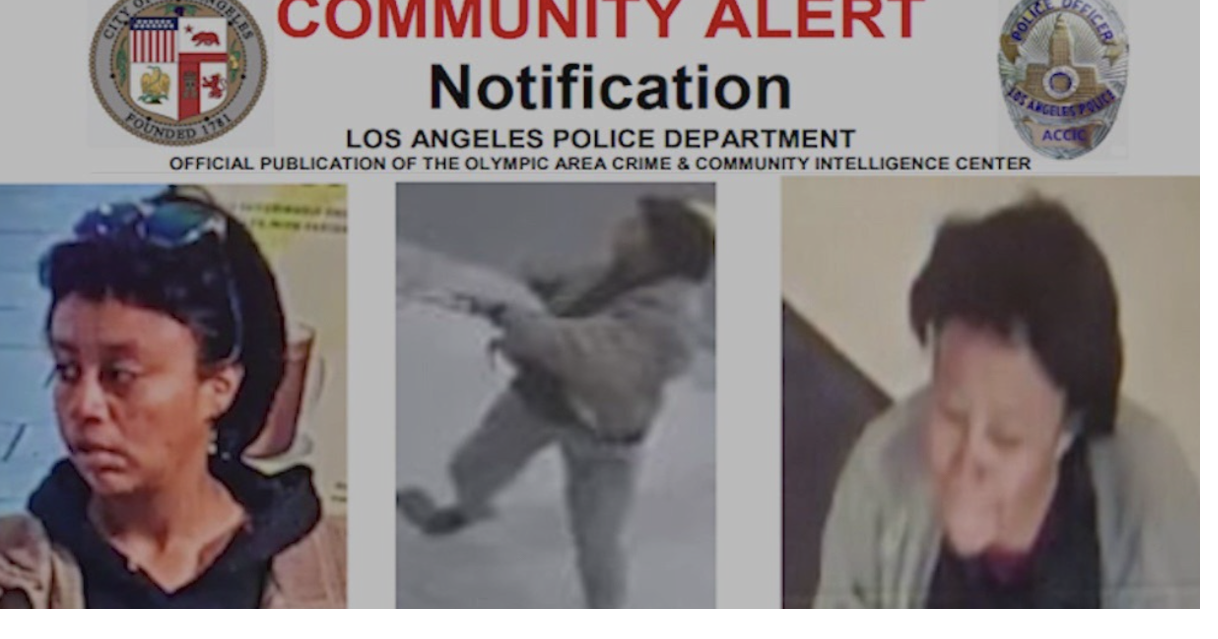 Police ID Woman Arrested for Allegedly Attempting to Kidnap Child in ...