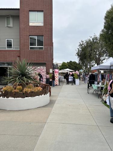 Rosé On Rose Wine Fest Turns Rose Ave Pink News