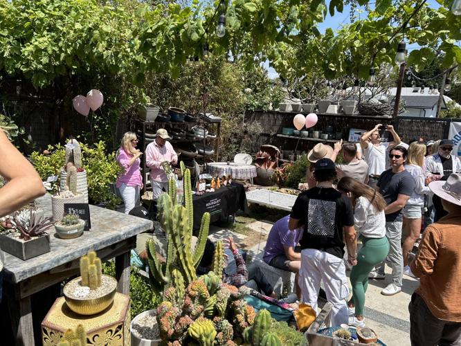 Rosé On Rose Wine Fest Turns Rose Ave Pink News