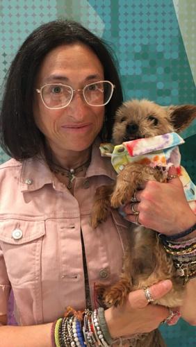 Dog Kicked by Homeless Man Dies after 3 Weeks of Intensive Life Saving ...