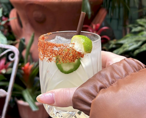 Finding The Hideaway On Rodeo Drive - It's Baja in the 70s | Eat ...