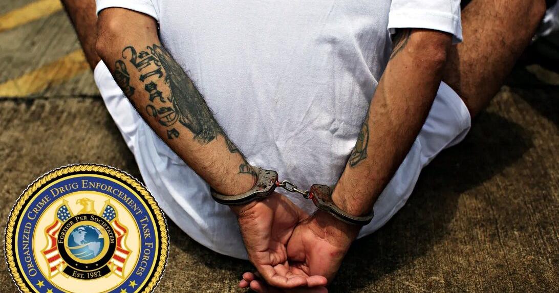 Federal Authorities Announce Major Crackdown on Transnational Gang ...