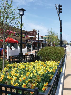 Lisle Town Focus | Archives | westsuburbanliving.net