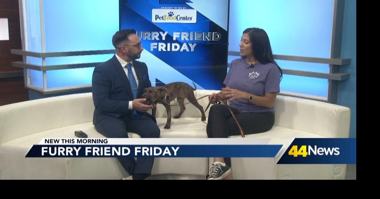 Furry Friend Friday: Meet 'Punkin' | Indiana | wevv.com