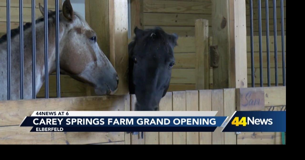 Carey Springs Farm grand opening | Video | wevv.com