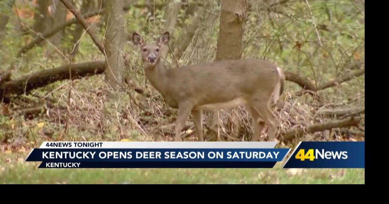 Kentucky's deer season opens on Saturday | Video | wevv.com