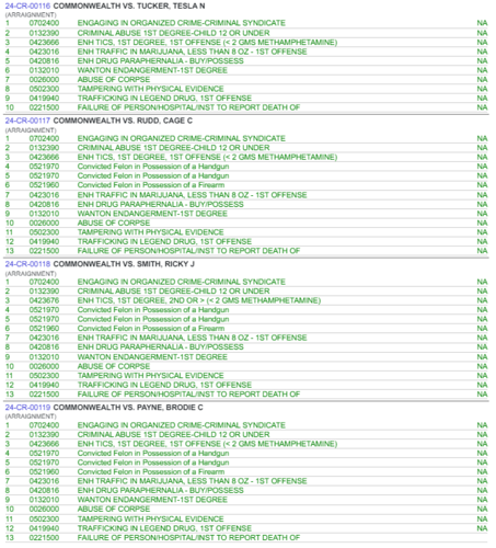 Grand jury indicts four suspects on numerous charges in death of infant ...