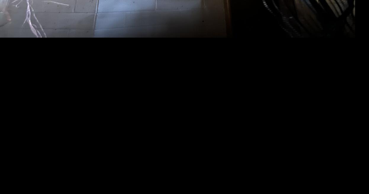 Saint Stephen Cathedral | | wevv.com