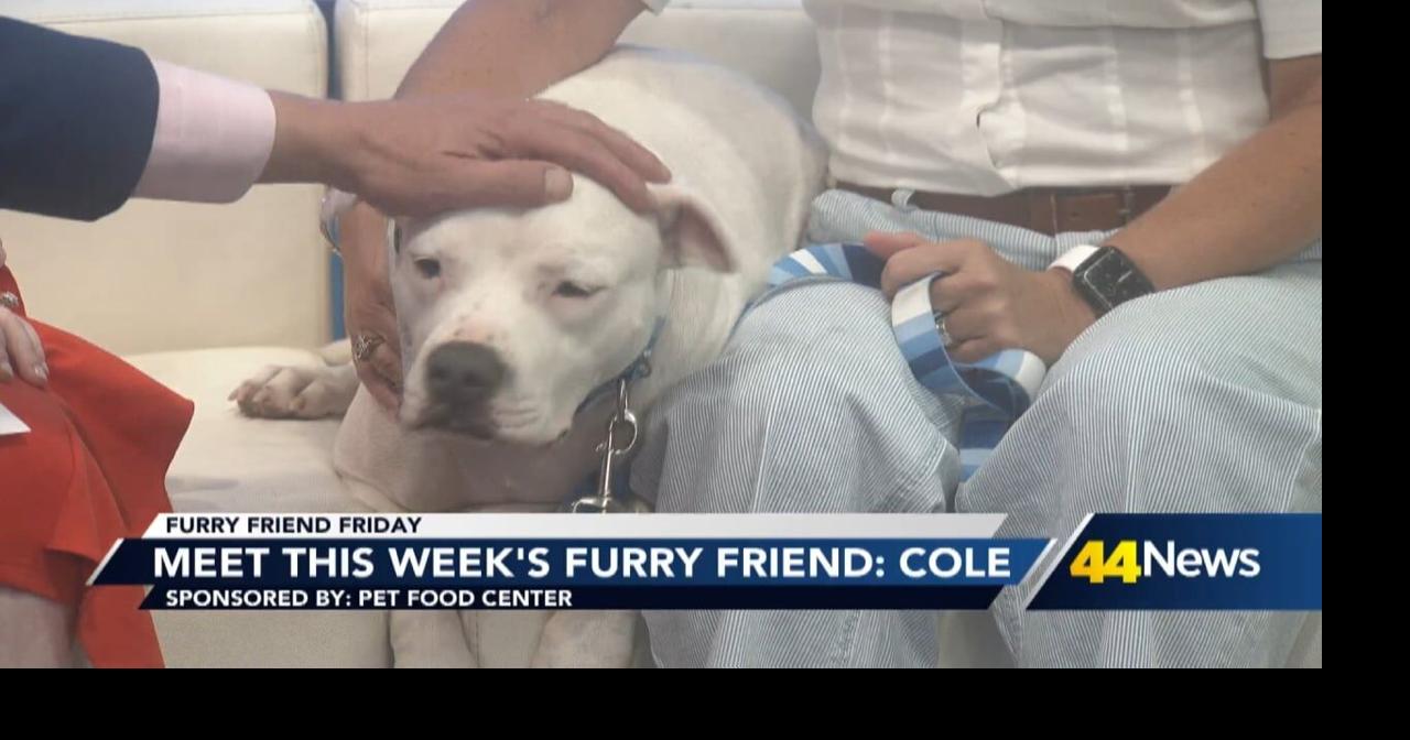 Furry Friend Friday: Meet Cole | Indiana | wevv.com